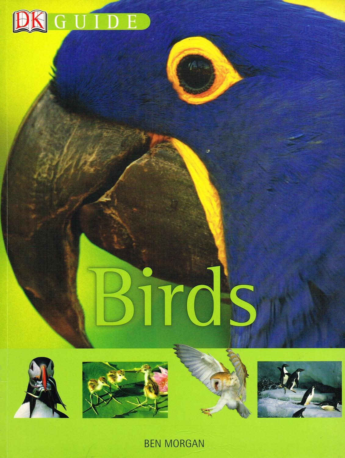 Birds : by Ben Morgan: As New Soft cover (2006) 1st Edition | Sapphire ...