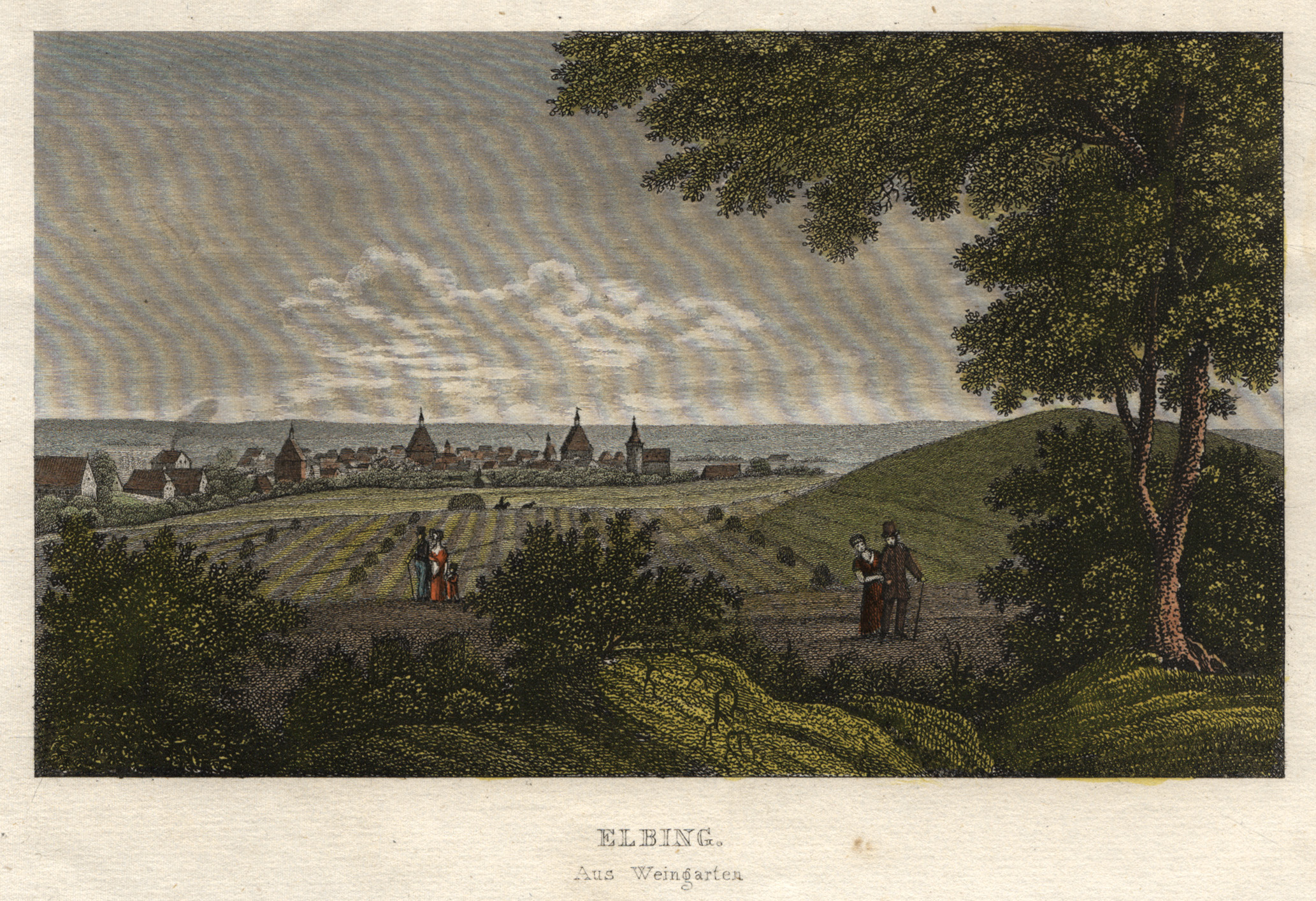 Gesamtansicht, "Elbing. Aus Weingarten". von Elbing ( Elblag ):: Kunst ...