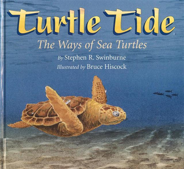 Turtle Tide: The Ways of Sea Turtles by Stephen R. Swinburne: Very Good ...