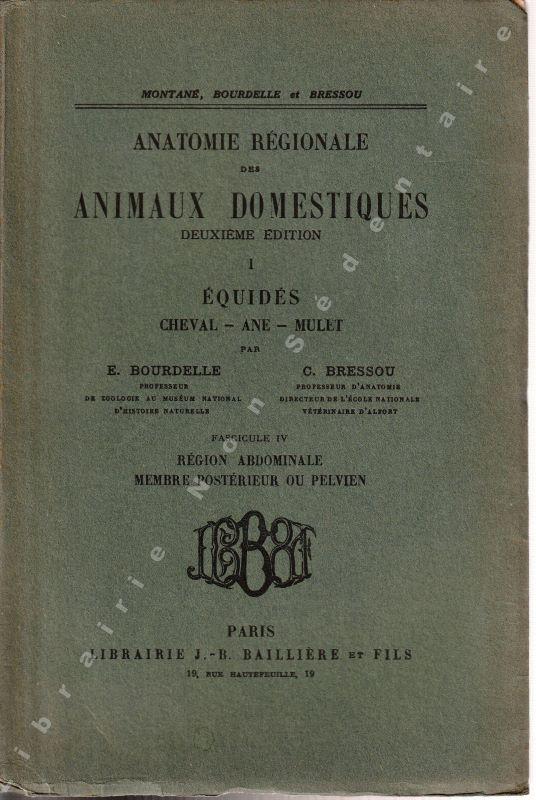 Anatomie régionale des Animaux Domestiques. I Equidés Cheval-Ane-Mulet ...
