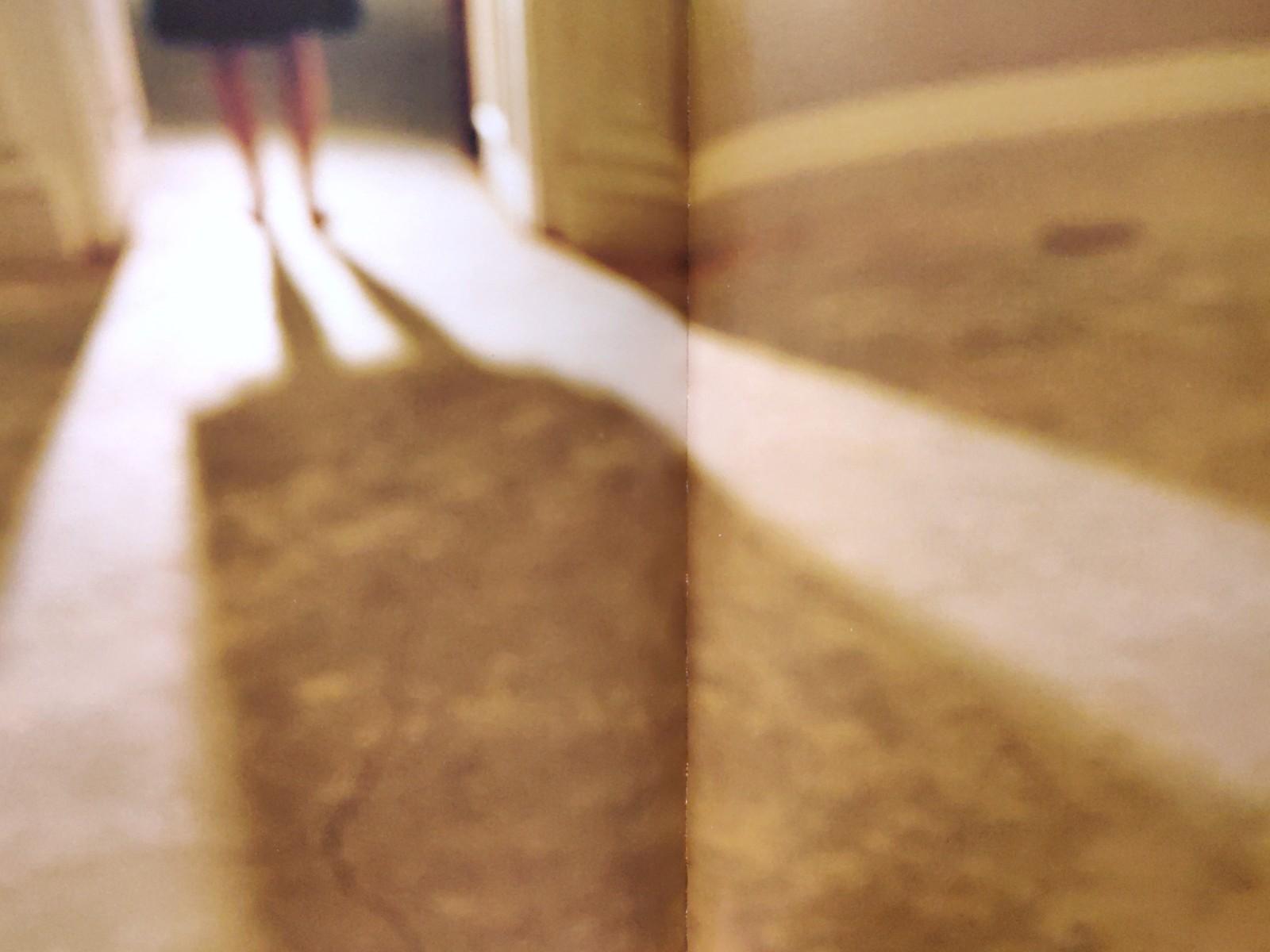 Half Life by Anna Gaskell: Fine Hardcover (2002) 1st Edition | Setanta ...