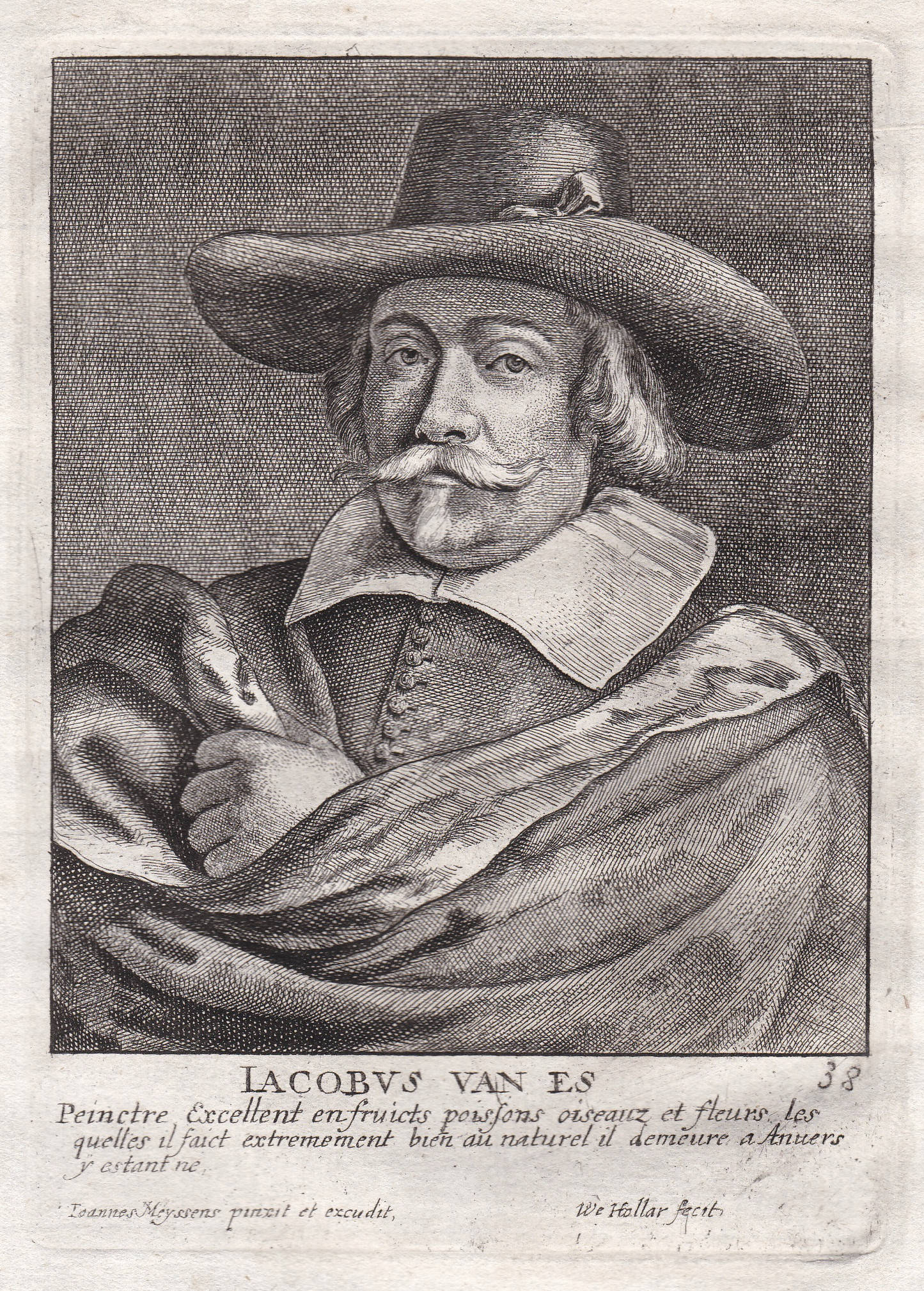 "Iacobus van Es" - Jacob van Es Maler painter Portrait Kupferstich ...