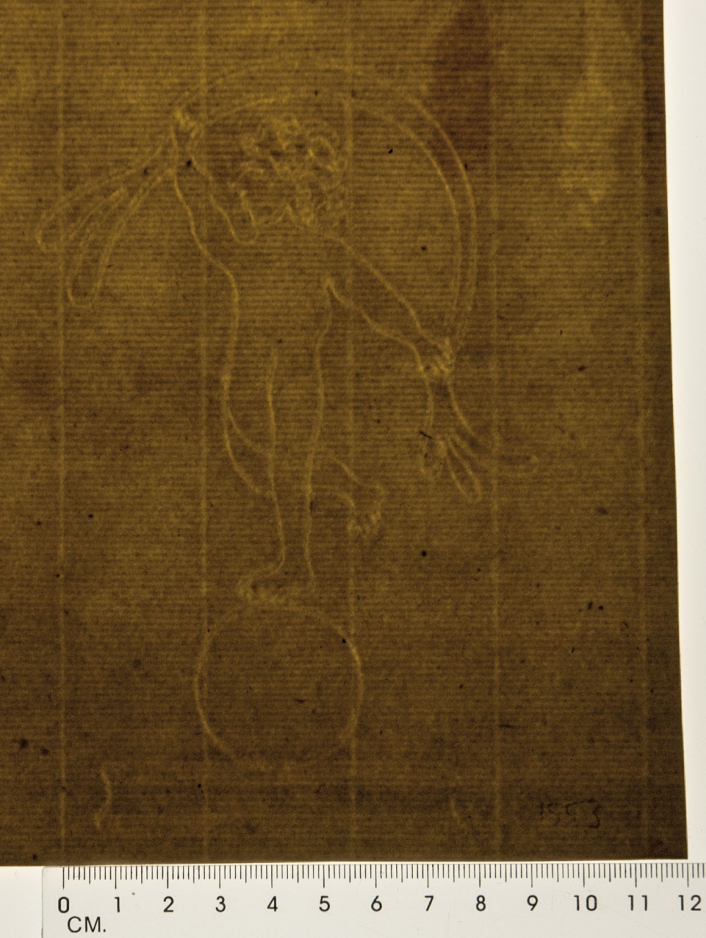 Sheet of blank laid paper with (part) watermark van der Ley and figure ...