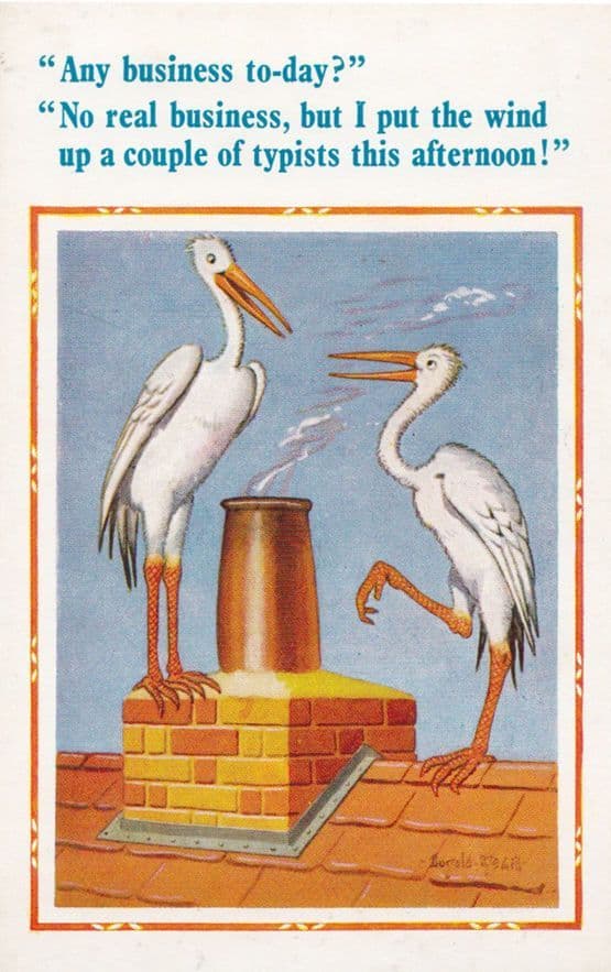 Heron Bird Crane Secretary Birds On Rooftop Risque 1970s Comic Humour ...