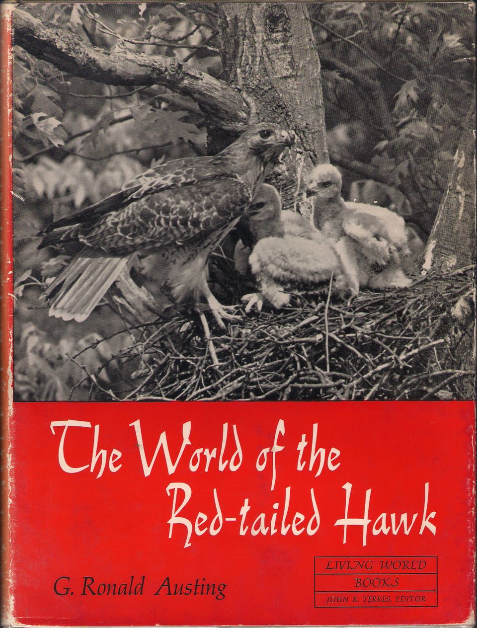 THE WORLD OF THE RED-TAILED HAWK. Text and photographs by G. Ronald ...