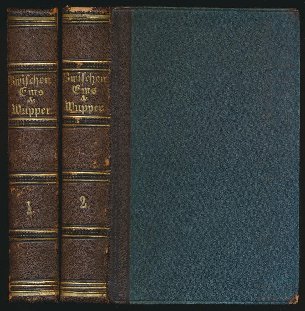 Zwischen Ems und Wupper. Zweite Folge der gesammelten Novellen. 2 Bände ...