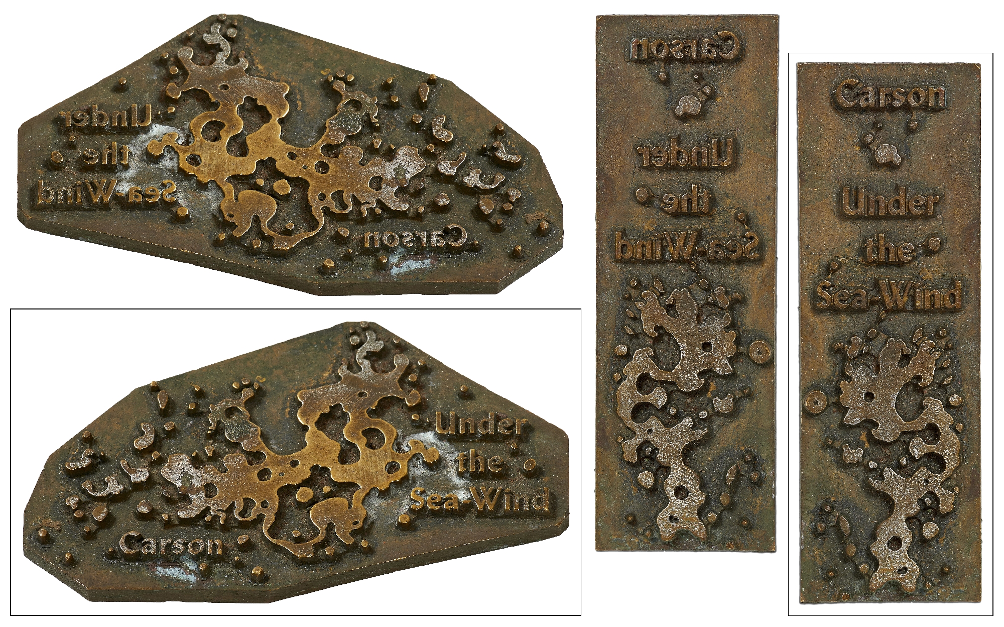[Brass binding die-stamp for the front board and spine of]: Under The ...