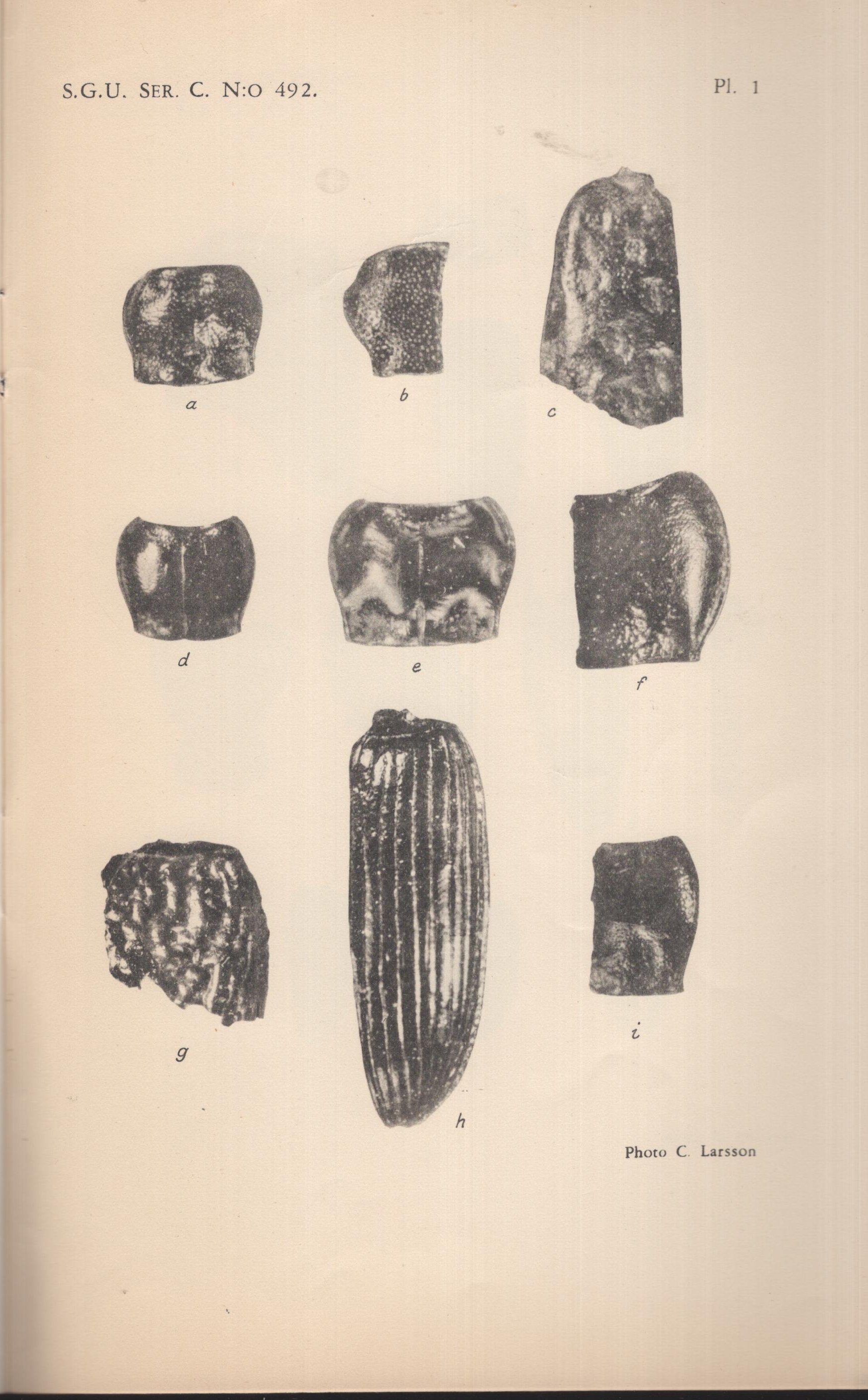Sveriges Geologiska Undersökning - Ser. C. - Avhandlingar och uppsatser ...