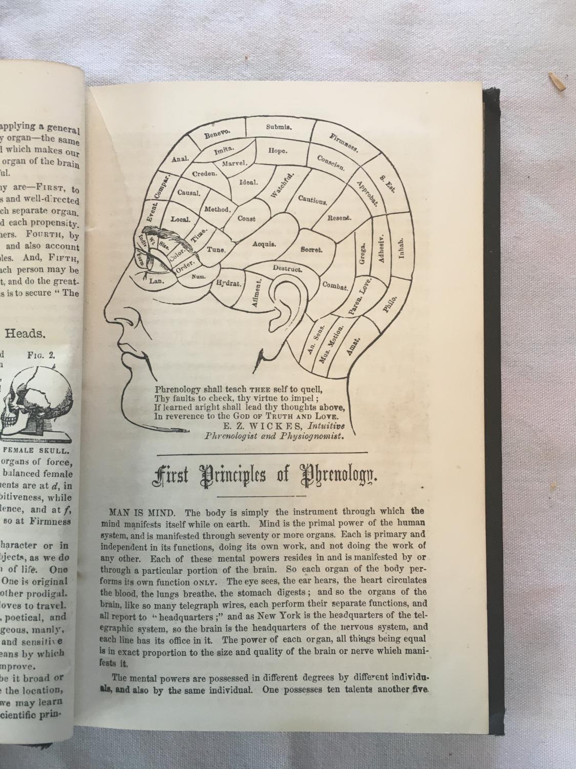 Illustrated Phreno-Chart and Compass of Life. A condensed Synopsis of ...