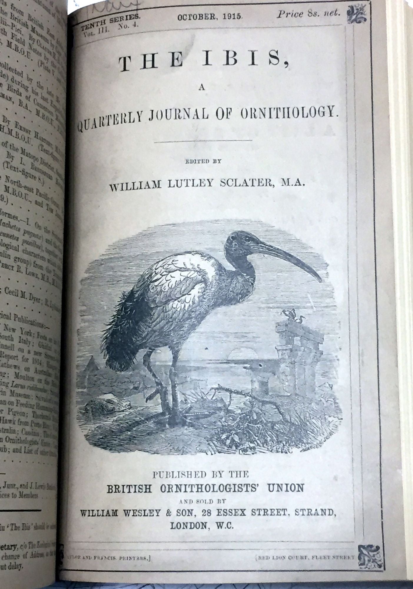 The Ibis, a quarterly journal of ornithology by [JOURNAL]: FIRST ...