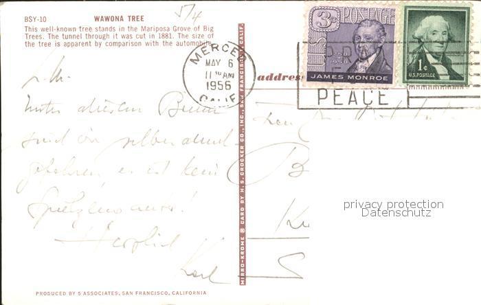 Postkarte Carte Postale 11711472 Baeume Trees Wawona Tree Mariposa ...