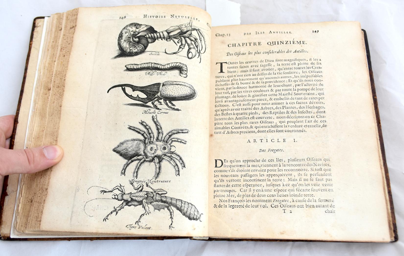 Histoire Naturelle et Morale des Iles Antilles de l'Amerique. Enrichie ...