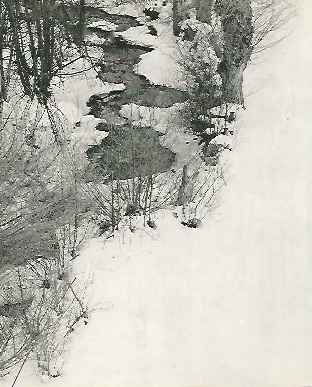 LAMINA 14674: Rio en invierno en el Pirieno von Estanislau Torres ...