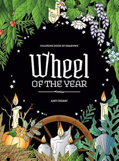 Coloring Book Of Shadows by Amy Cesari, Cesari: As New (2019 ...