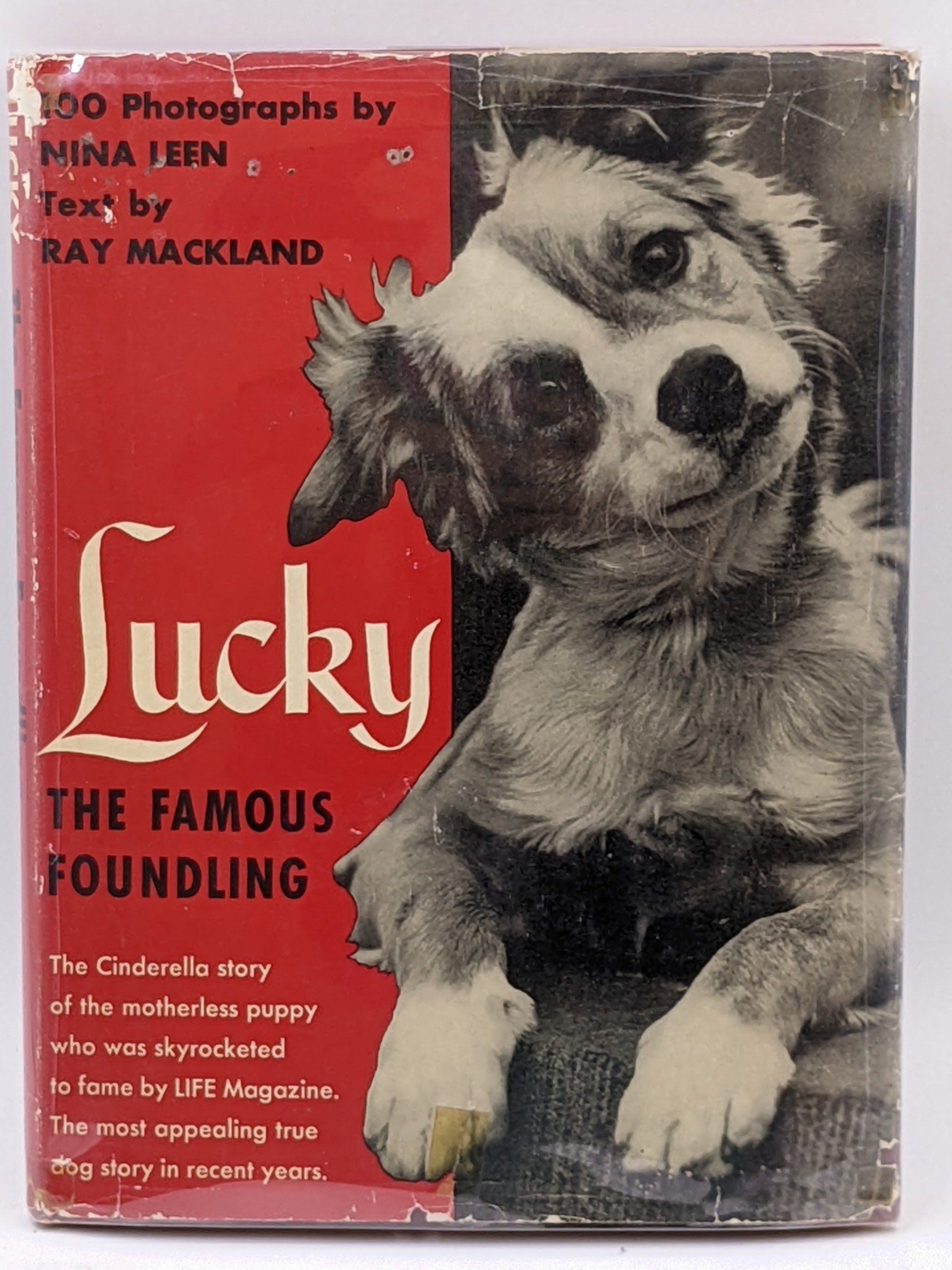 LUCKY: THE FAMOUS FOUNDLING by Mackland, Ray (photographs by Nina Leen ...