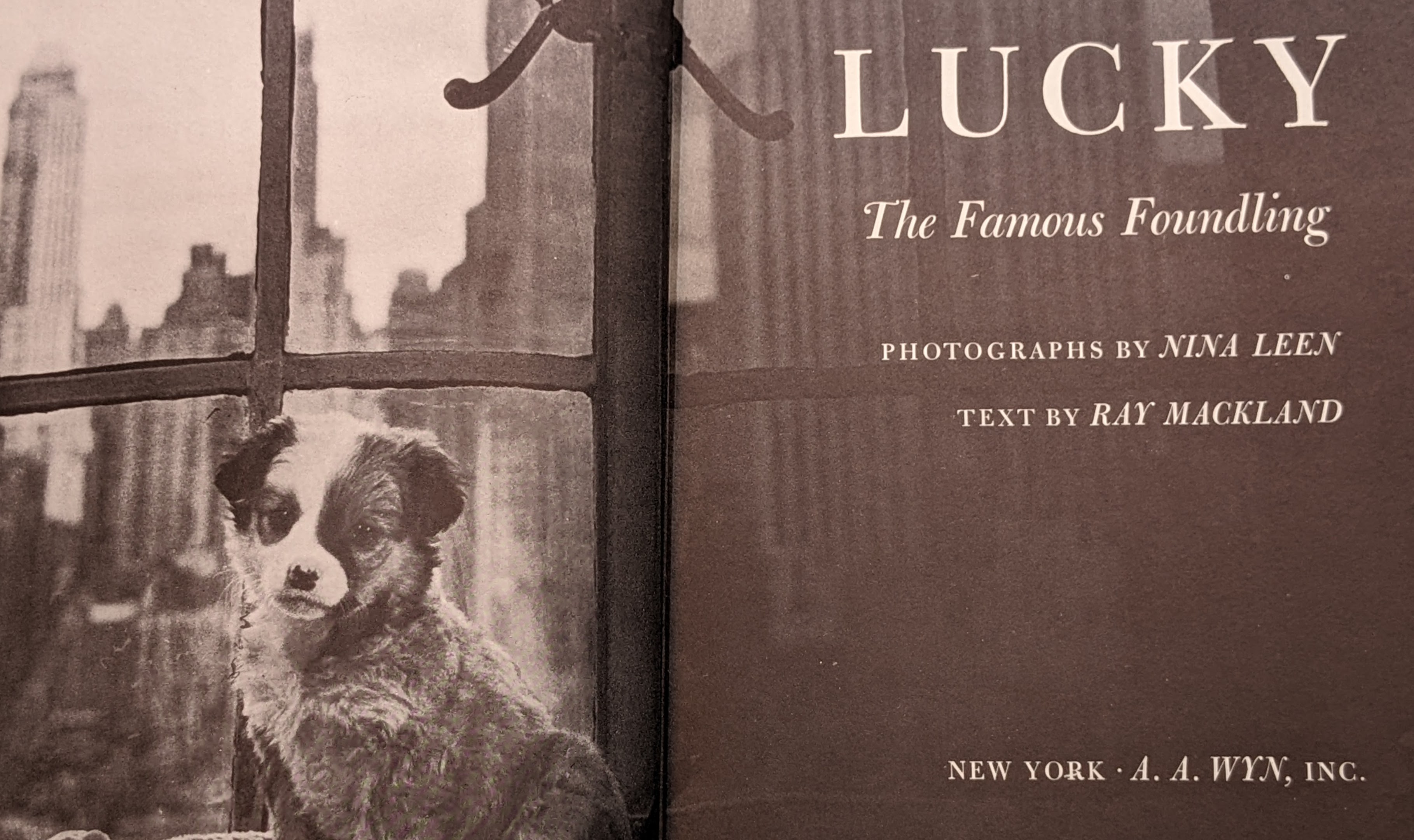 LUCKY: THE FAMOUS FOUNDLING by Mackland, Ray (photographs by Nina Leen ...