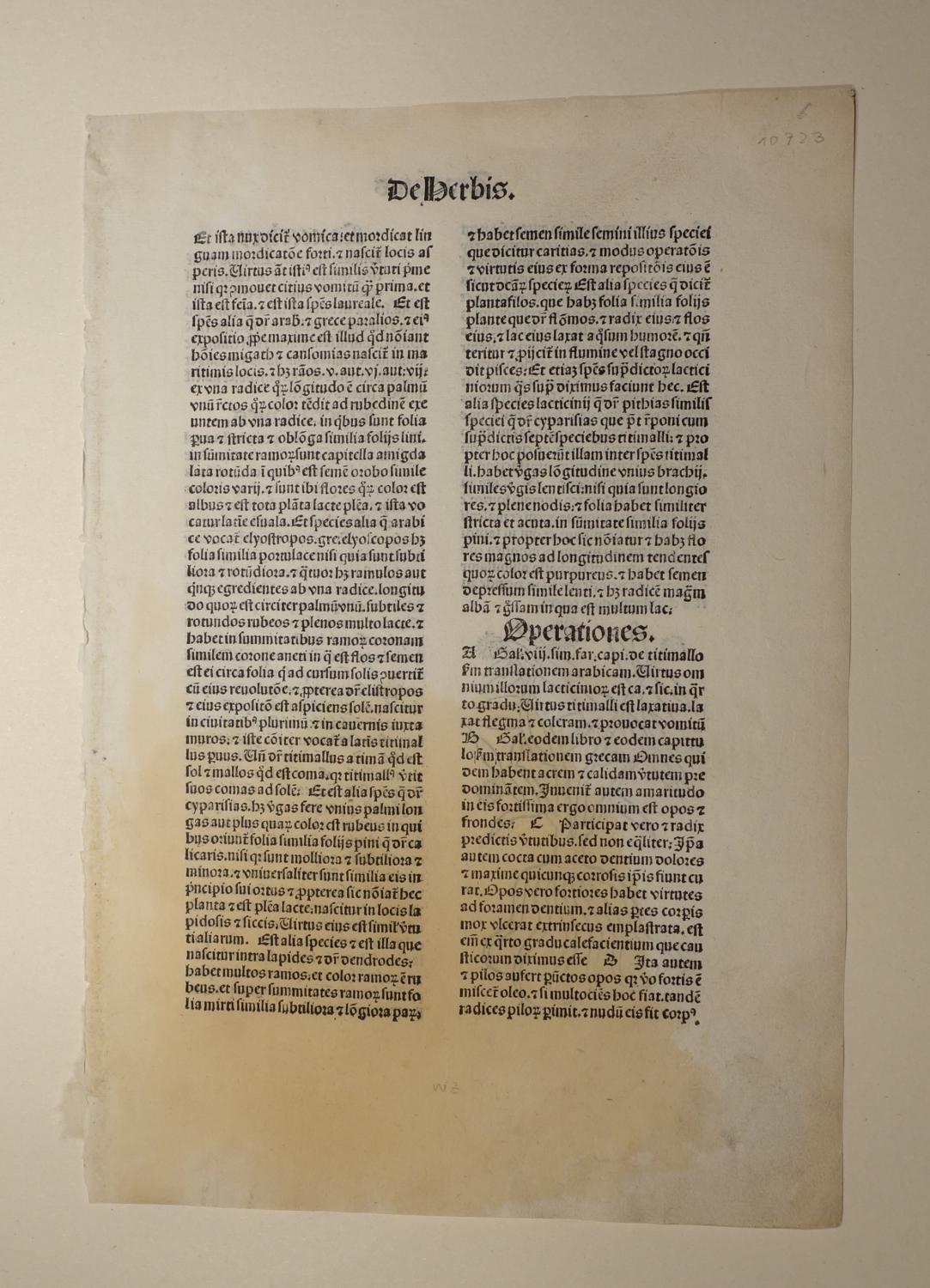 Hortus sanitatis (GW 13548, HC 8944). Cap. CCCCLXXV Thimus (Thymian ...