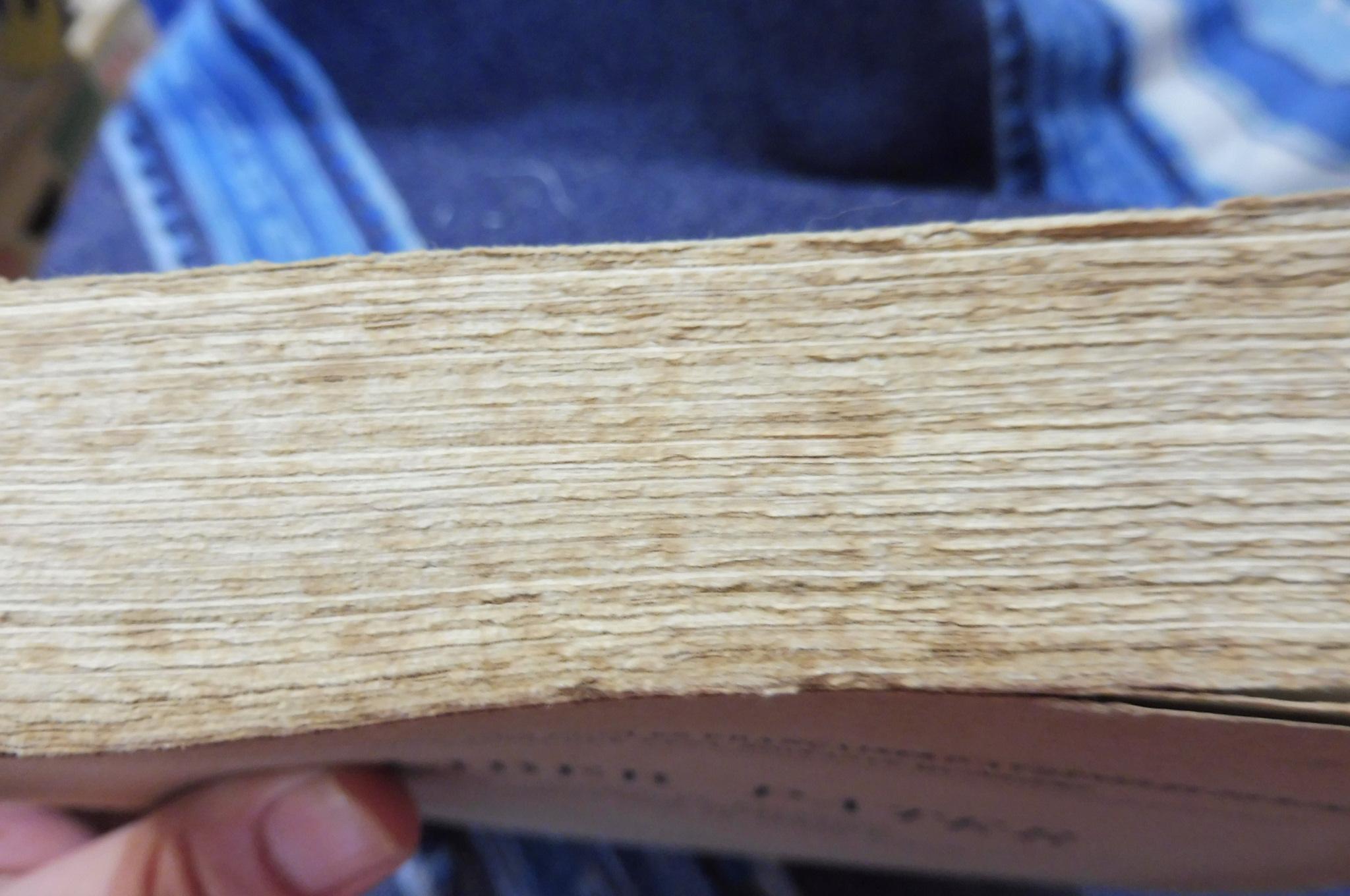 LIBER PATER Origine et expansion du culte Dionysiaque à Rome et dans le ...