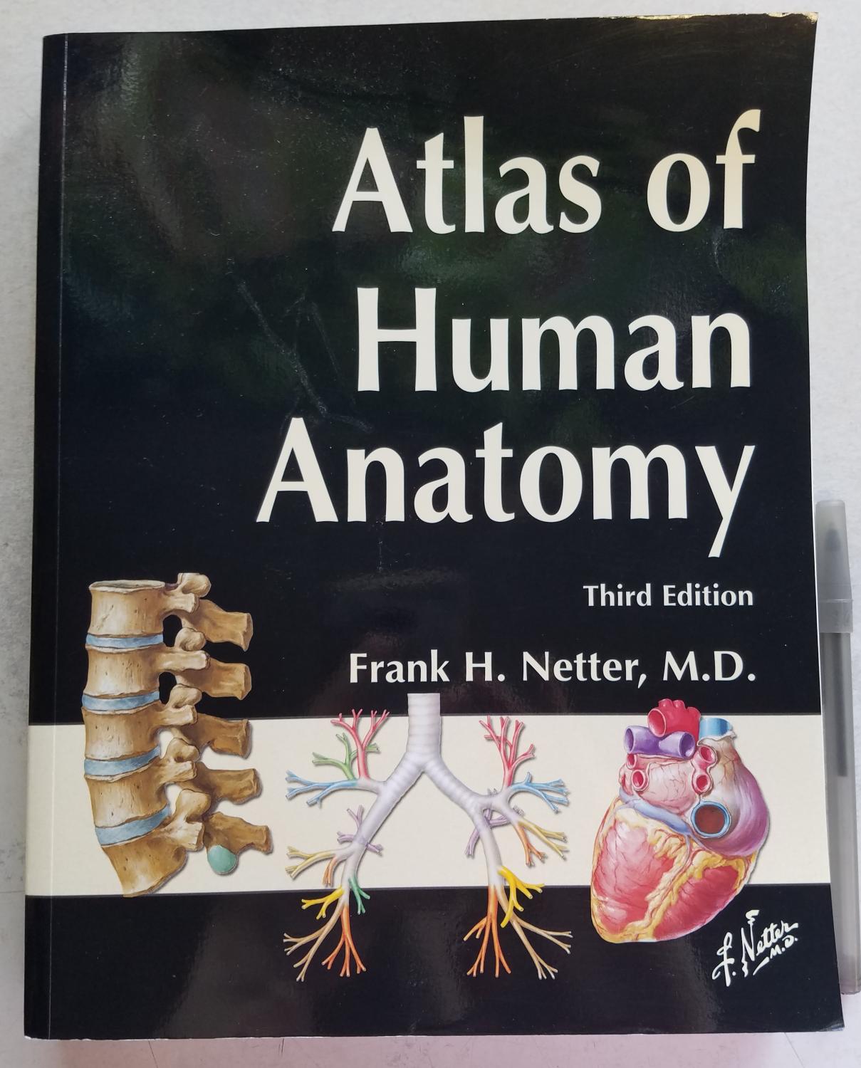 Atlas of Human Anatomy by Frank H. Netter, M.D.: Very Good Soft cover ... Atlas of Human Anatomy by Frank H. Netter, M.D.: Very Good Soft cover ...