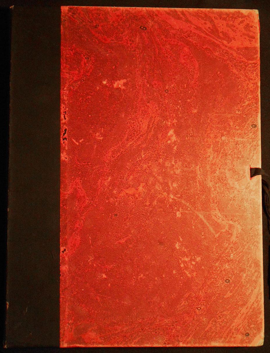 Pen and Ink Drawings by Daniel Vierge; Introduction by Herm F. Bruehler ...