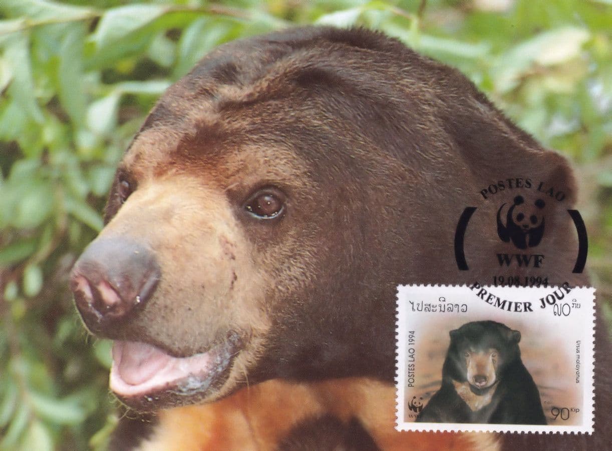 Sun Bear Ursus Malayanus WWF Stamp First Day Cover Postcard: Manuscript ...