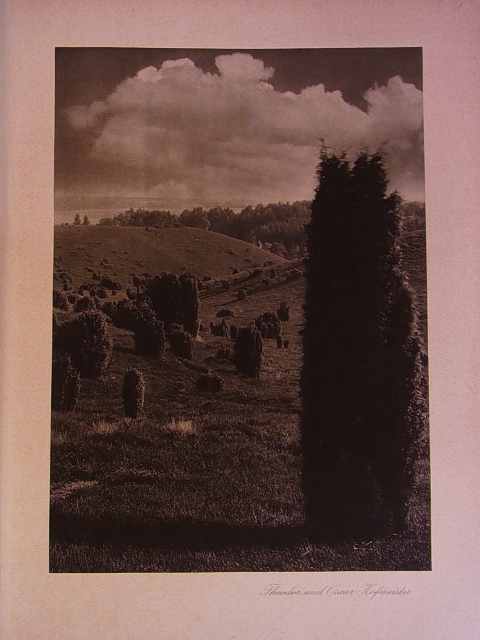 Stimmungsbilder aus der Heide von Wiechmann, Hermann Adolf:: Gut Pp ...