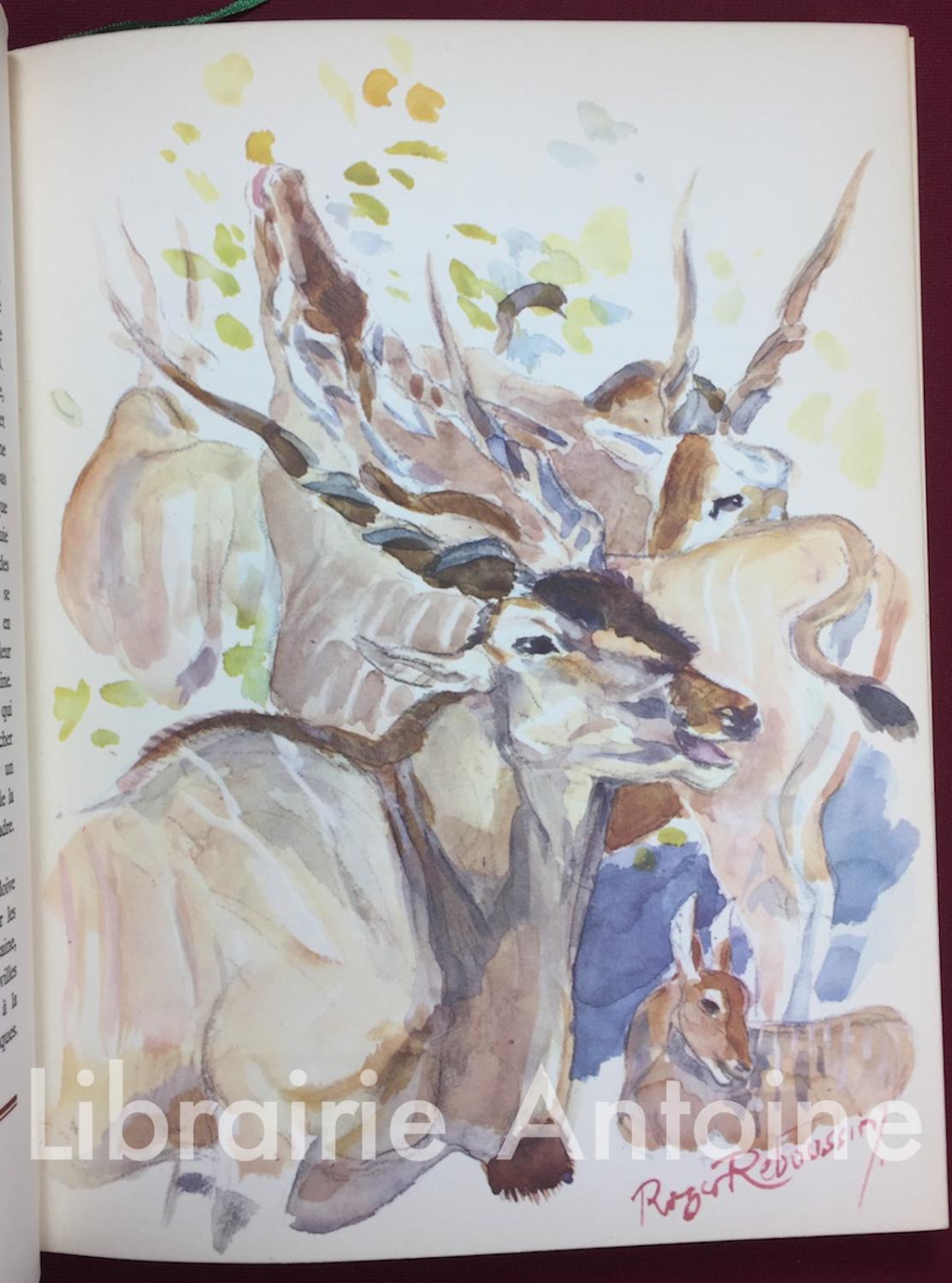 La chasse aux grands fauves. Illustrations de Reboussin. by FOA ...