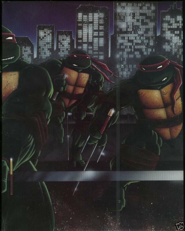 Teenage Mutant Ninja Turtles Collected Book Volume 1 Signed & Numbered ...