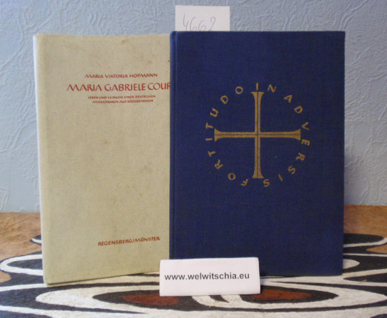 Maria Gabriele Court. Leben und Wirken einer deutschen Missionarin auf ...