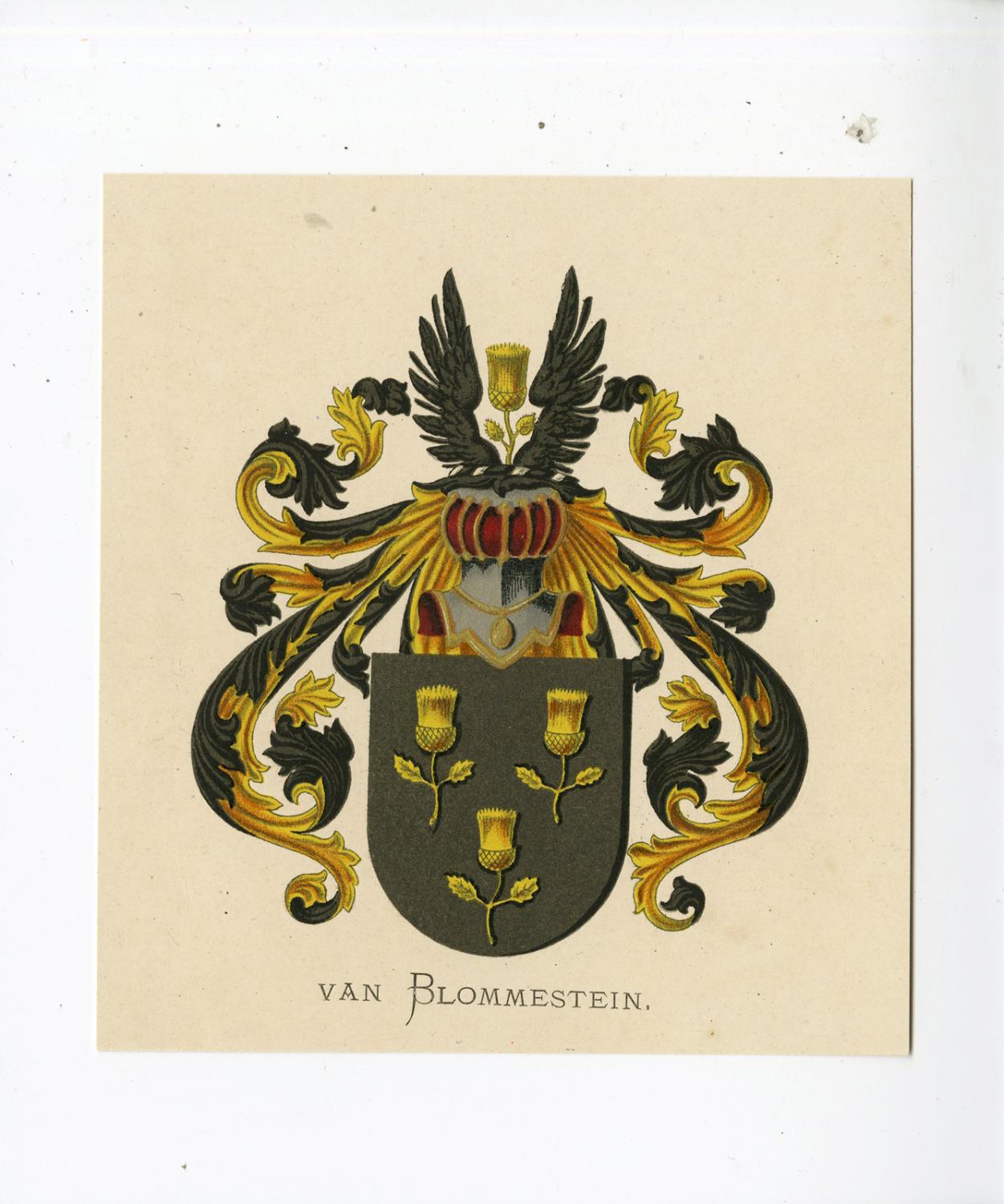 Antique Print-VAN BLOMMESTEIN-COAT OF ARMS-FAMILY CREST-WENNING after ...