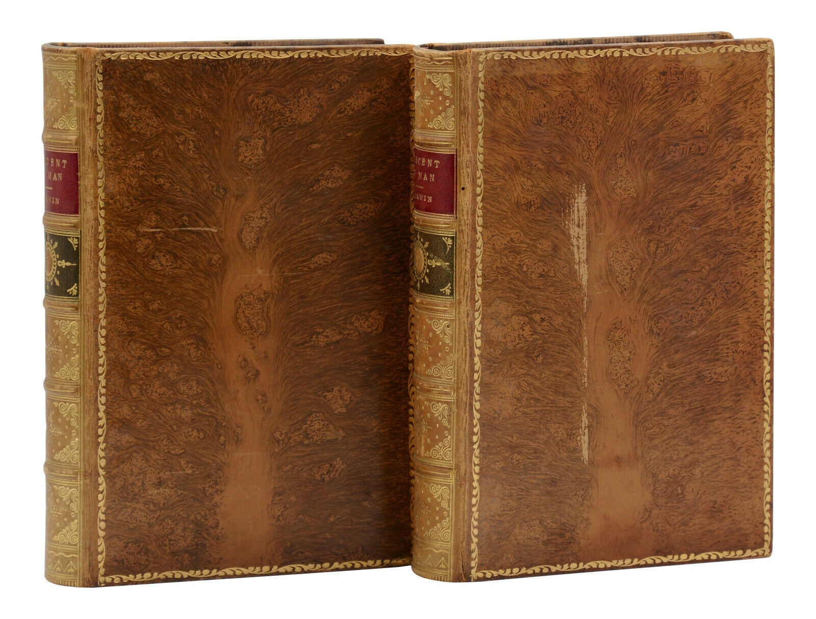 The Descent Of Man And Selection In Relation To Sex De Darwin Charles Very Good 1871 First