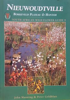 Niewouldtville - Bokkeveld Plateau & Hantam - South African Wild Flower ...