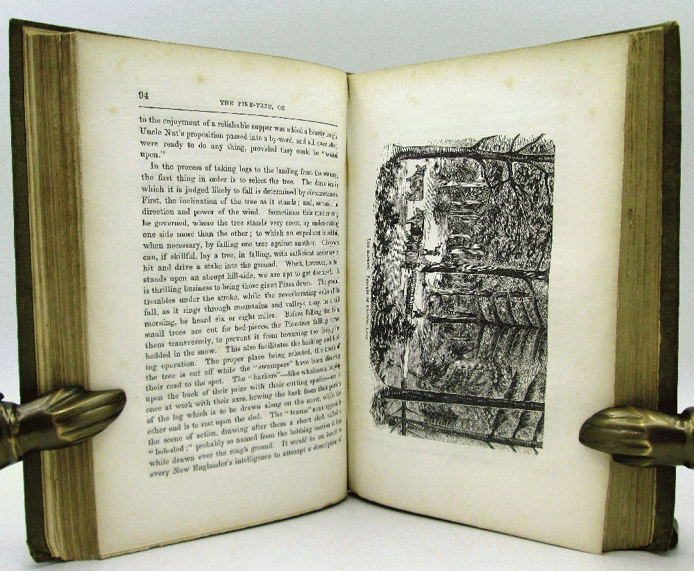 Forest Life and Forest Trees: John Springer (First Edition) by Springer ...