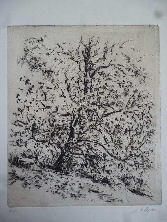 Orig. Radierung: Hans Dietmann Baum im Sturm. handsigniert: E.A. Art ...
