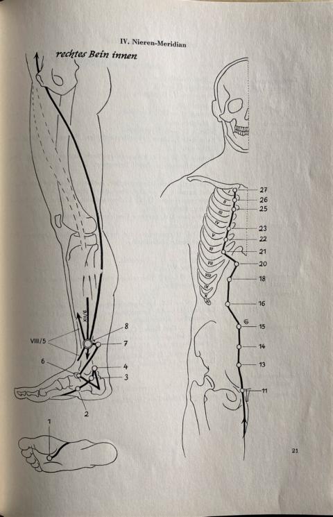 Akupunktur-Fibel. Die Praxis der chinesischen Akupunkturlehre ...