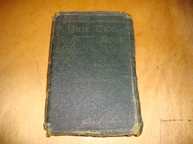 Ye Yule-Tide Book of Quips, Quirks and Random Thoughts by Burgoyne ...