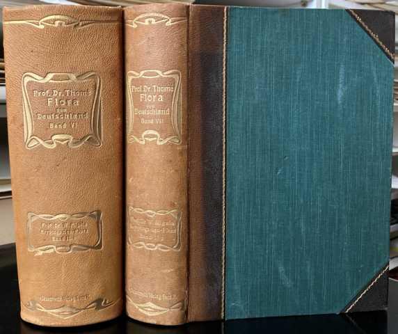 kryptogamen flora von deutschland von migula - ZVAB