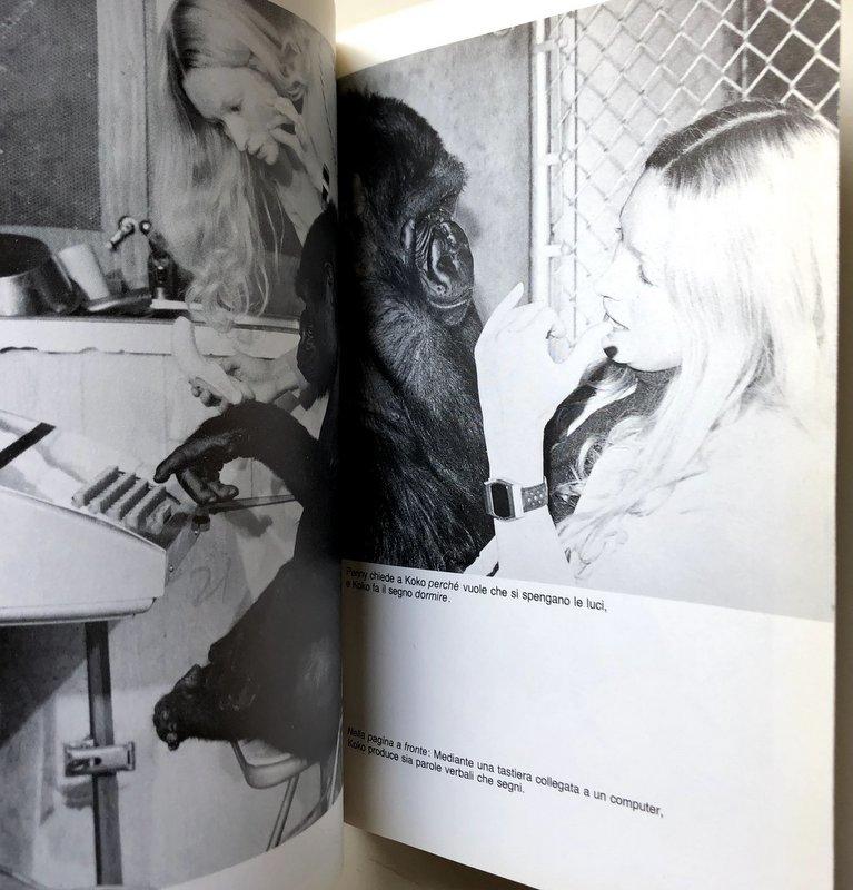 L'EDUCAZIONE DI KOKO by FRANCINE PATTERSON, EUGENE LINDEN: ottimo ...