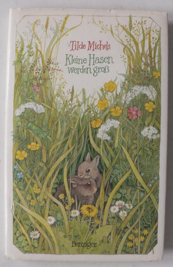kleine hasen werden gross von tilde michels - ZVAB