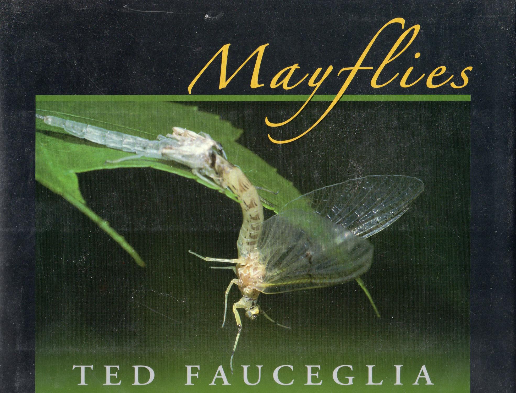 Mayflies: Major Eastern and Midwestern Hatches (SIGNED) by Fauceglia ...