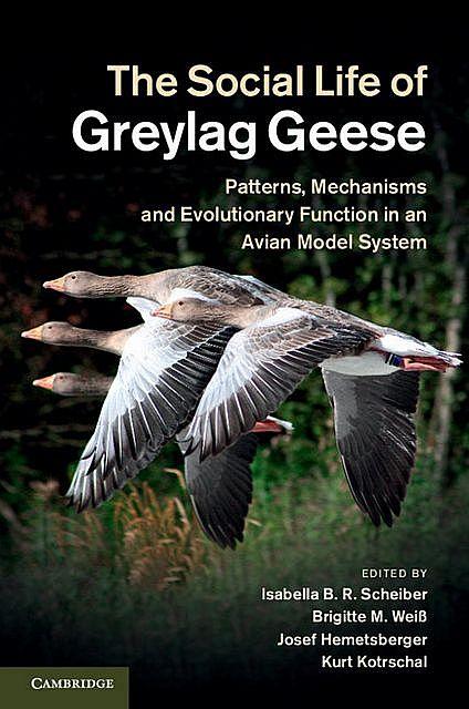 The Social Life of Greylag Geese. Patterns, Mechanisms and Evolutionary ...
