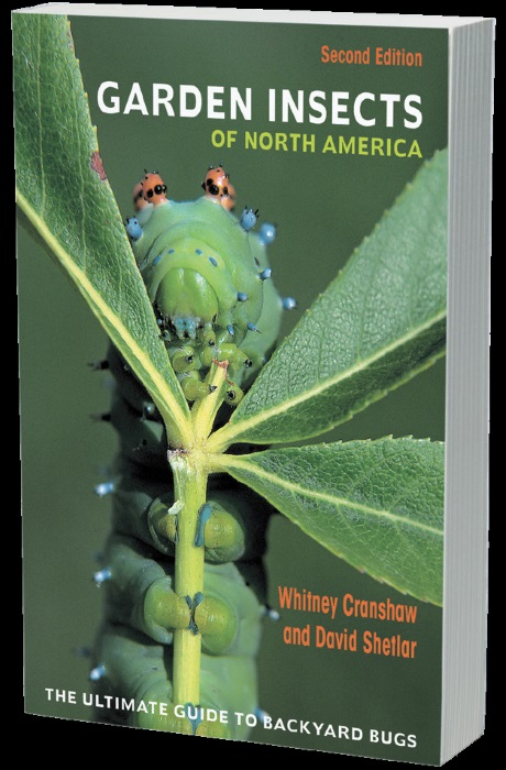 Garden Insects of North America: The Ultimate Guide to Backyard Bugs by ...