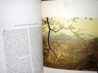 EL LIBRO DE LOS MAESTROS DEL IKEBANA : fundamentos y principios del ...