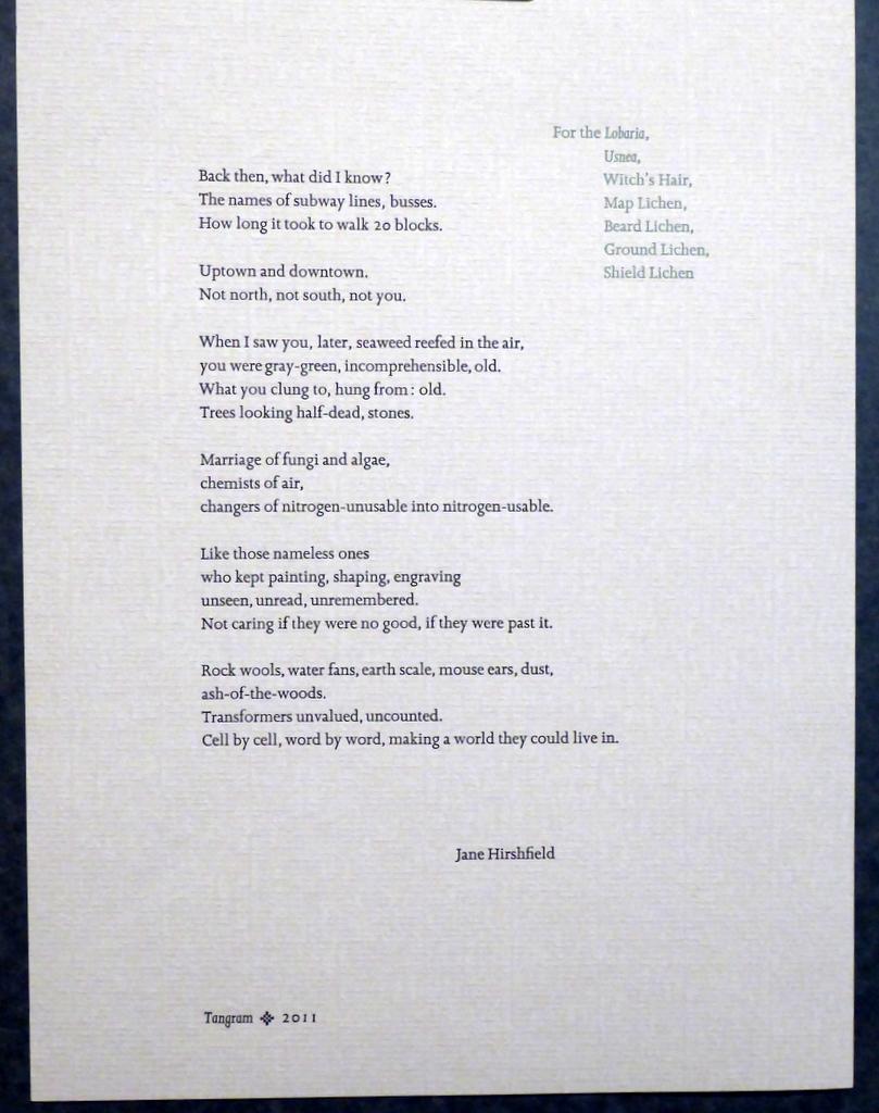 FOR THE LOBARIA, USNEA, WITCH'S HAIR, MAP LICHEN, BEARD LICHEN, GROUND ...