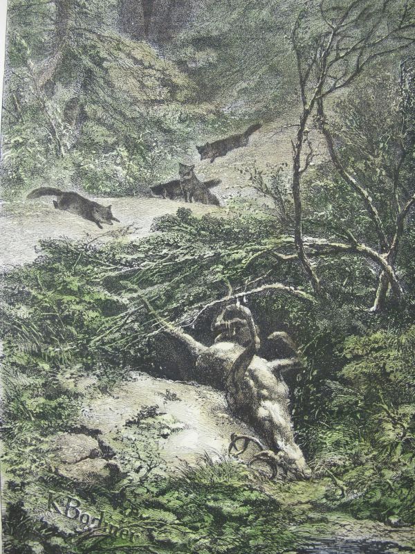 Le Cerf Mort / El Ciervo Muerto by Prensa Ilustrada - L'Illustration ...