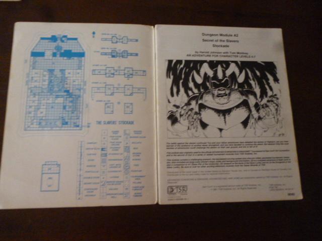 Secret of the Slavers Stockade (Dungeon Module A2) by Johnson, Harold ...