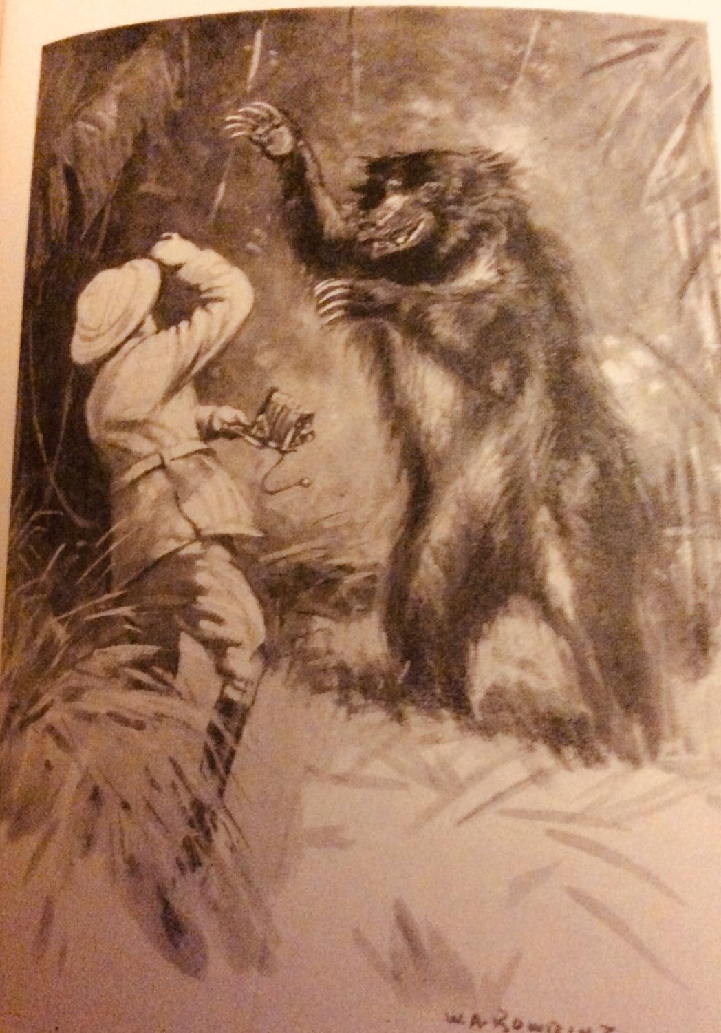 Tales of a Shikari: Big Game Shooting in India par J.L. Sleeman, Lt ...