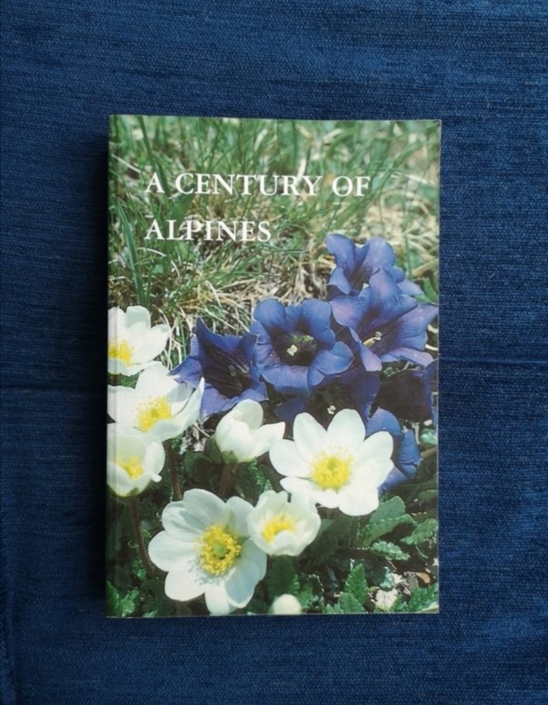 A Century of Alpines (Helen Dillon's copy) by Bird, Richard: Good Soft ...
