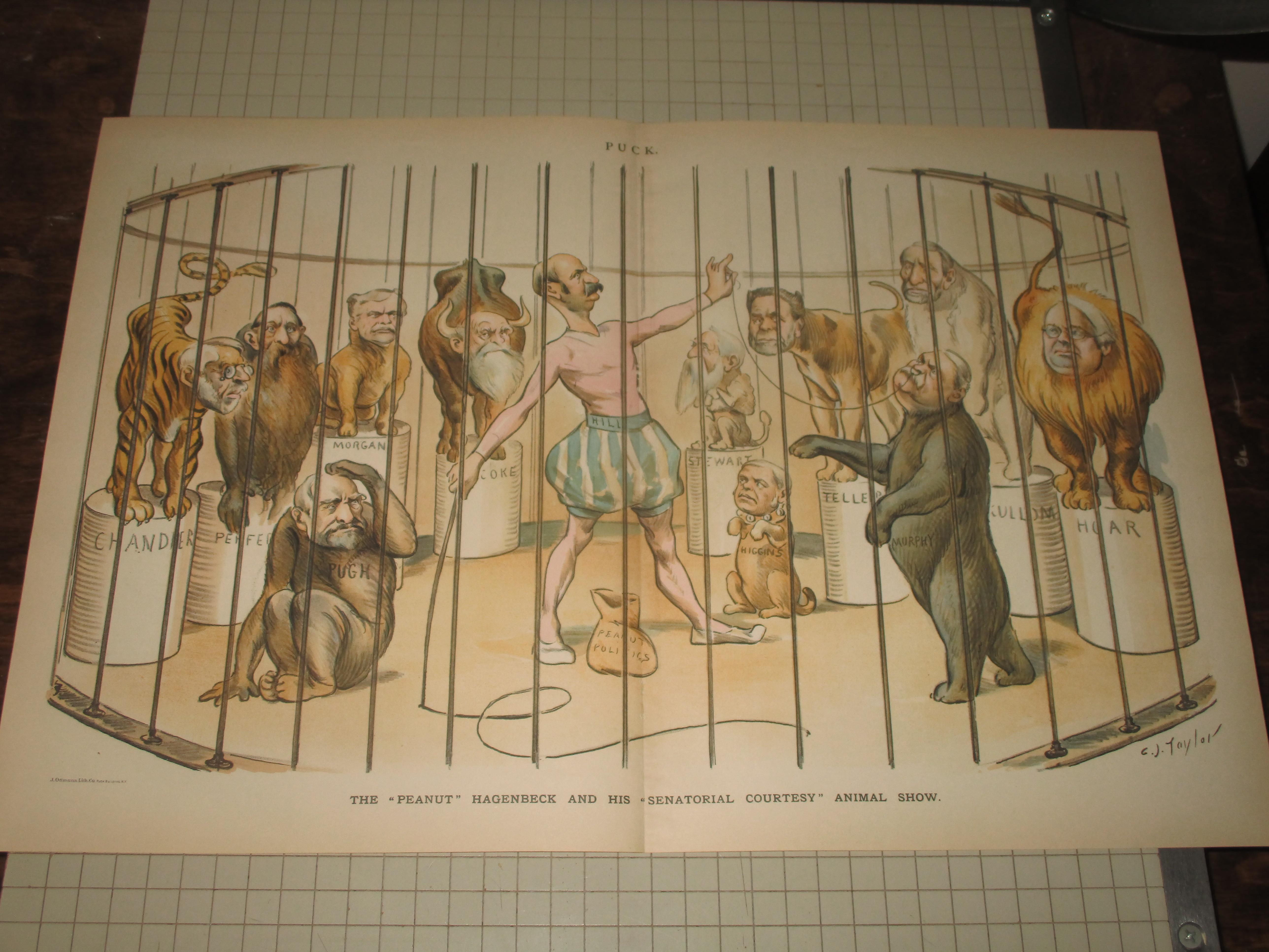 1894 Puck Lithograph of The "Peanut" Hagenbeck and His "Senatorial ...