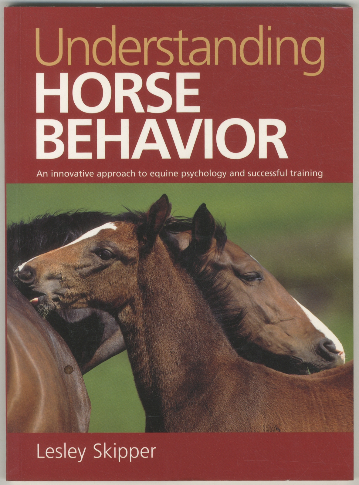 Understanding Horse Behavior by SKIPPER, Lesley: Fine Softcover (2007 ...